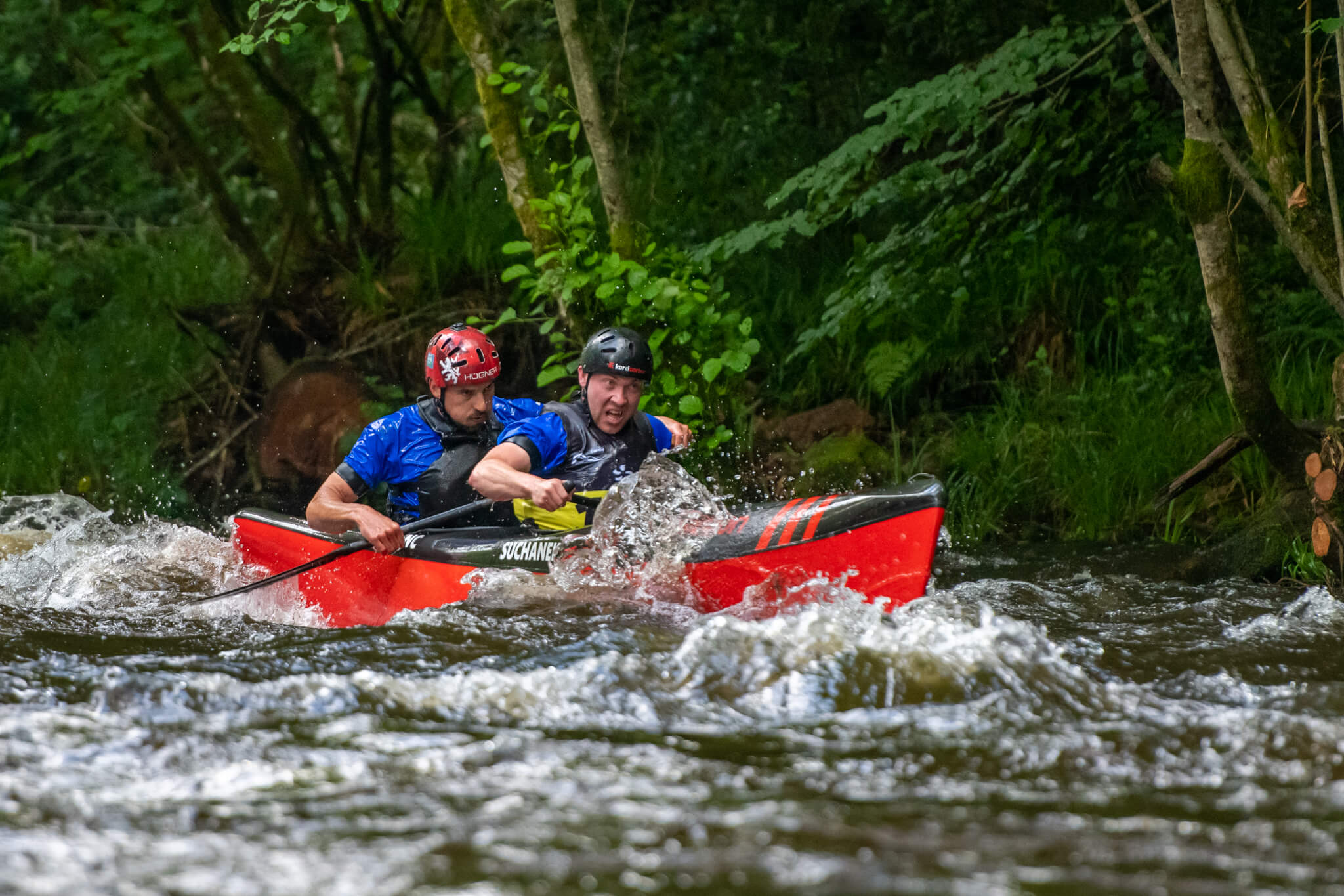 Sjezdaři mají za sebou úspěšné MS ve francouzském Treignacu, vybojovali ...