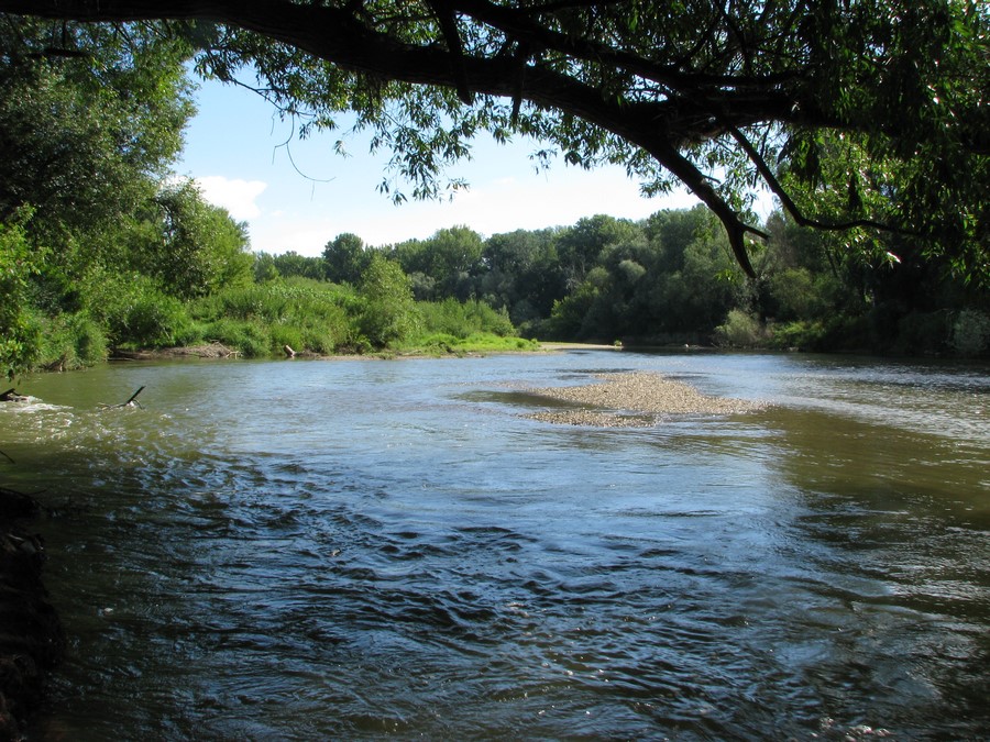 Paní řeka Morava zatím zůstává vodáky méně objevená - Pádler.cz