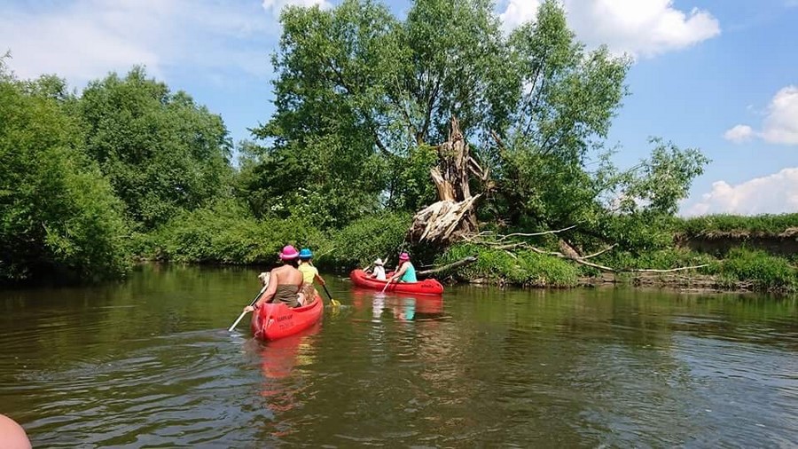 Vodácký manuál pro splutím letní Orlice v klidu a v krásné přírodě ...
