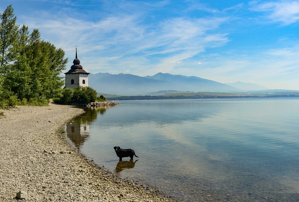 Dva nejlepší úseky Váhu - Pádler.cz